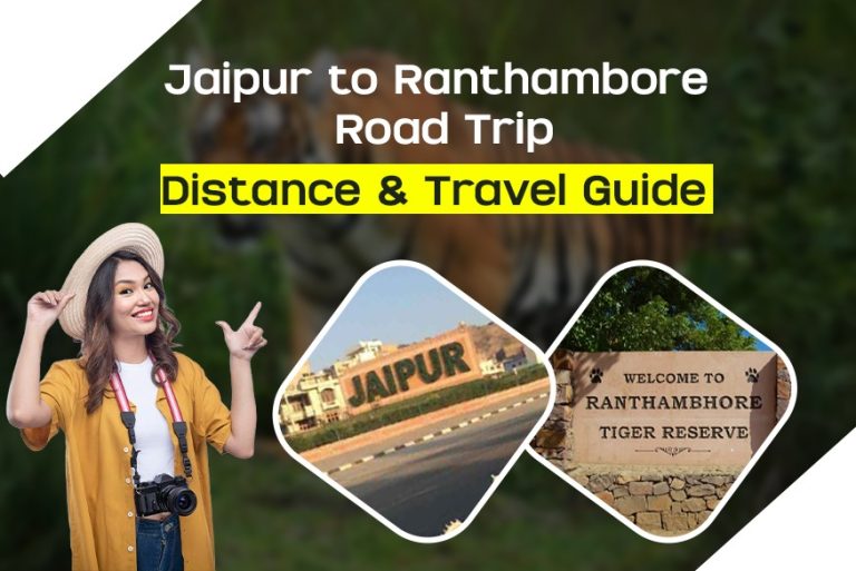 Jaipur to Ranthambore Road Trip: Distance & Travel Guide